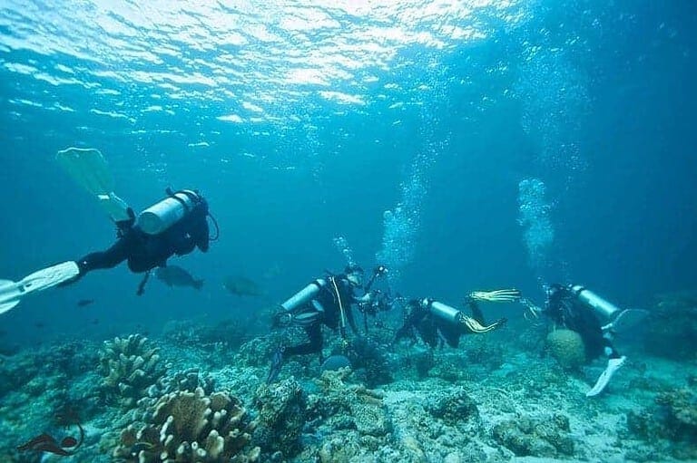 Harga Scuba Diving Bali 2026 Tanjung Benoa untuk Pemula