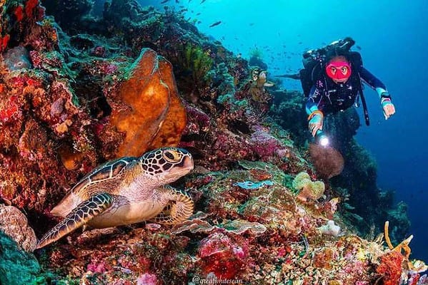 Taman Laut Bunaken Manado | Warisan Nasional UNESCO