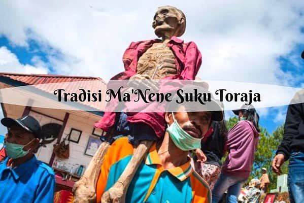 Tradisi Ma Nene Suku Toraja Ritual Mengganti Pakaian