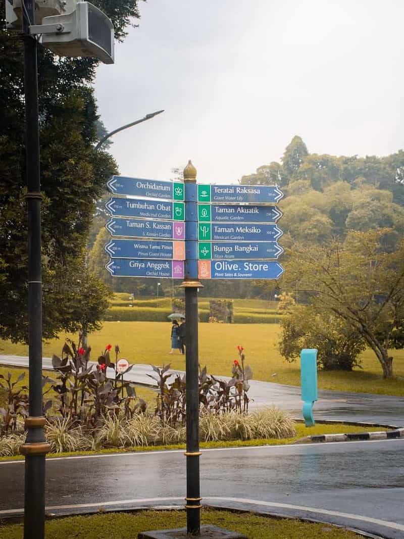 Aktivitas Kebun Raya Bogor | 11 Hal Menarik Di Kebun Raya