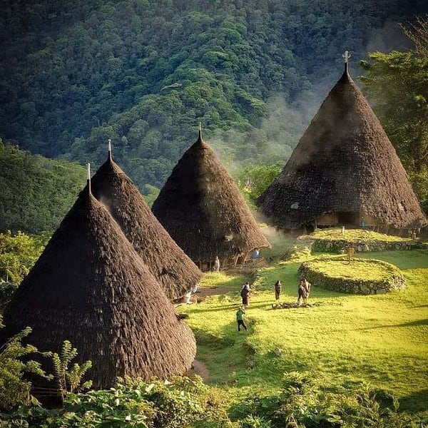 Desa Wisata Wae Rebo | Pesona Luar Biasa Surga Di Atas Awan