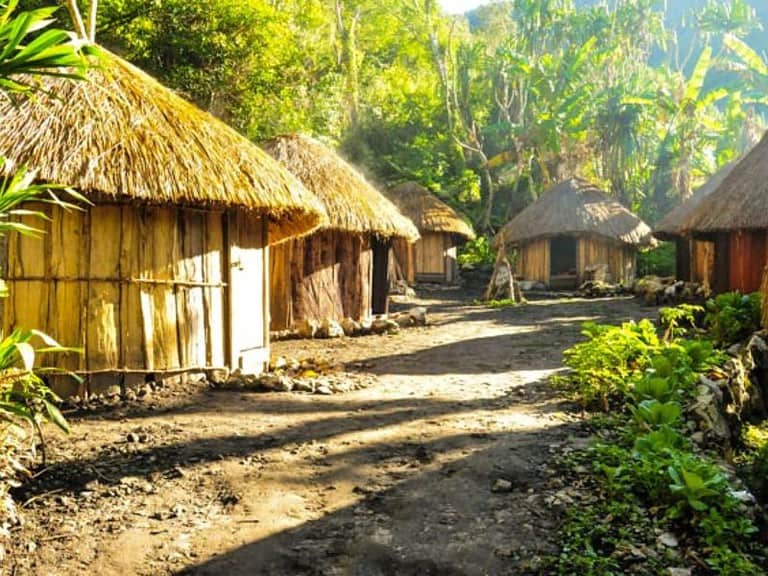 Rumah Adat Tradisional Papua 8 Daftar Penuh Pesona